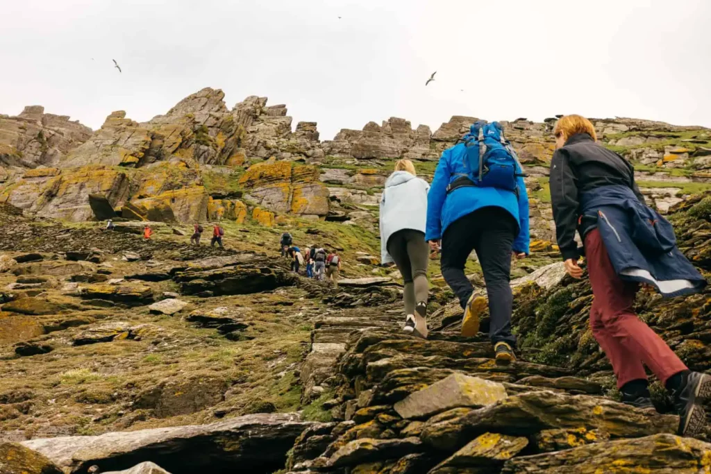 What to Expect on a Skellig Michael Landing Tour - Casey Skellig ...